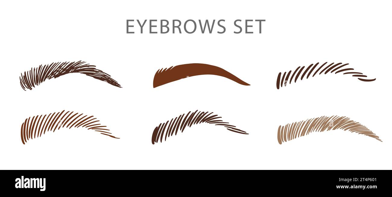 Different female eyebrow icons set. Makeup brows Stock Vector Image ...