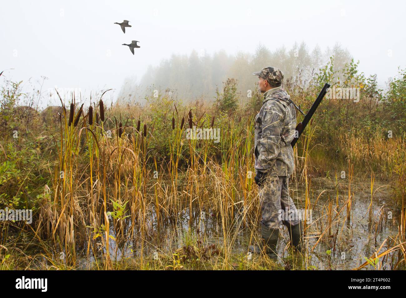 a hunter with a shotgun on his shoulder looks at the passing ducks on a ...