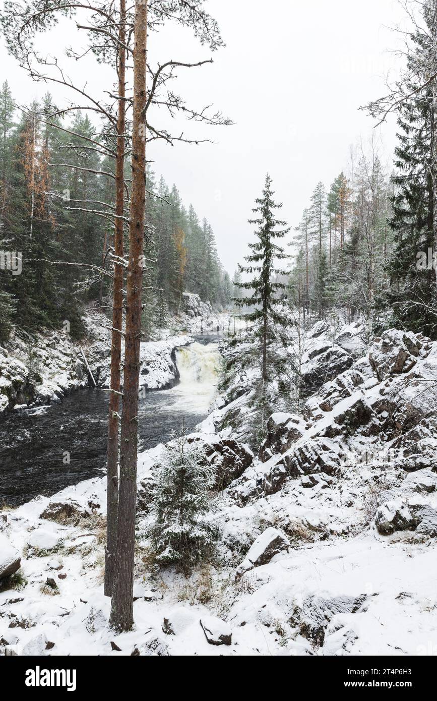 Kivach Falls landscape on a winter day. Vertical photo with snowy ...