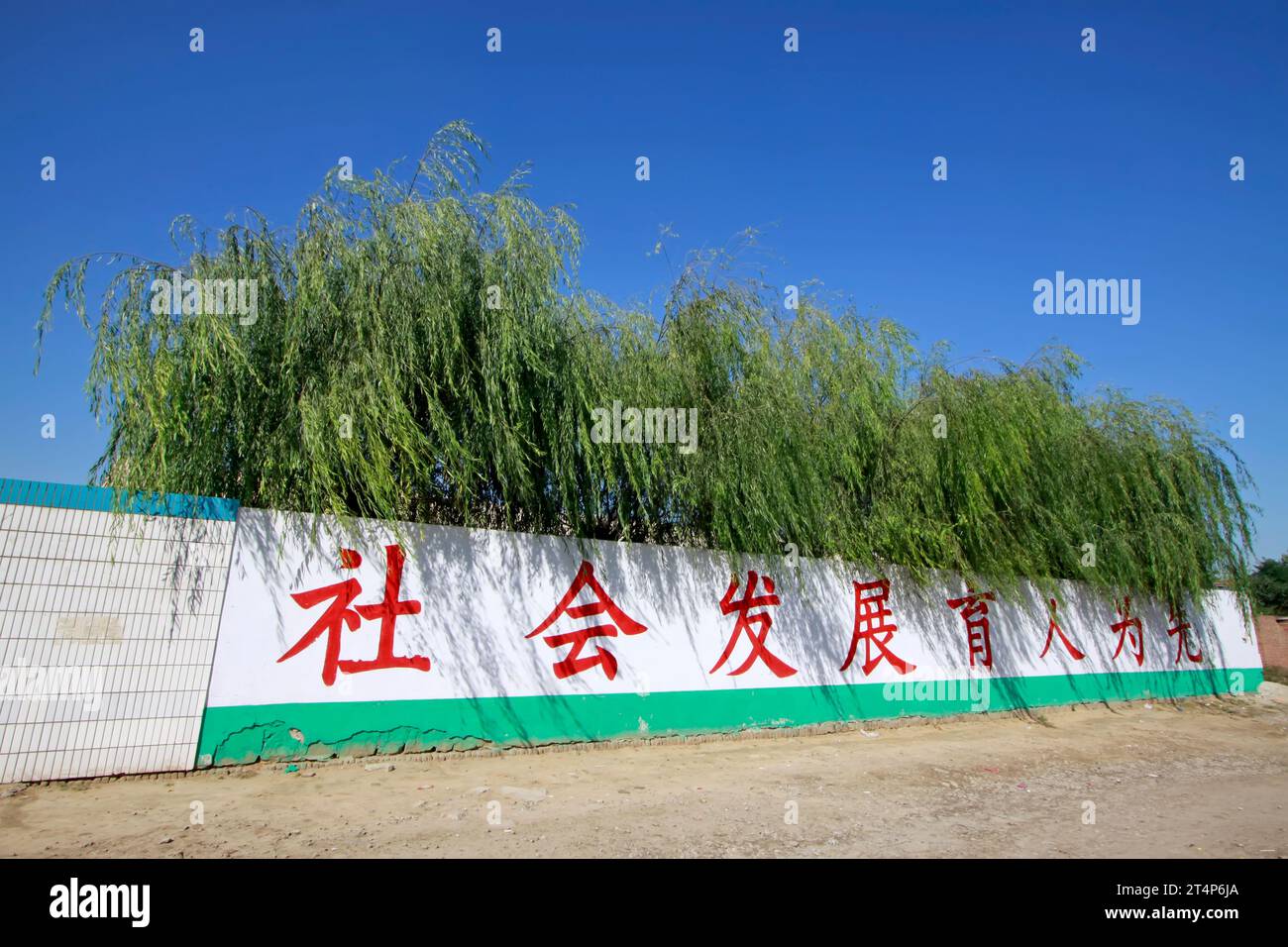 Wall slogan and willow Stock Photo - Alamy