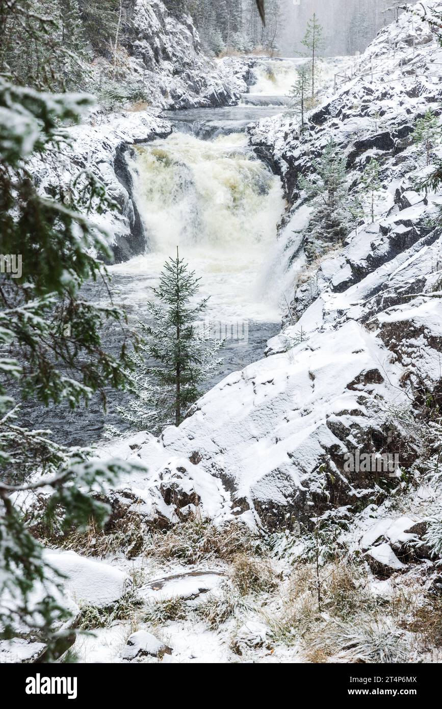 Vertical natural photo with snowy cascade waterfall. Kivach Falls ...