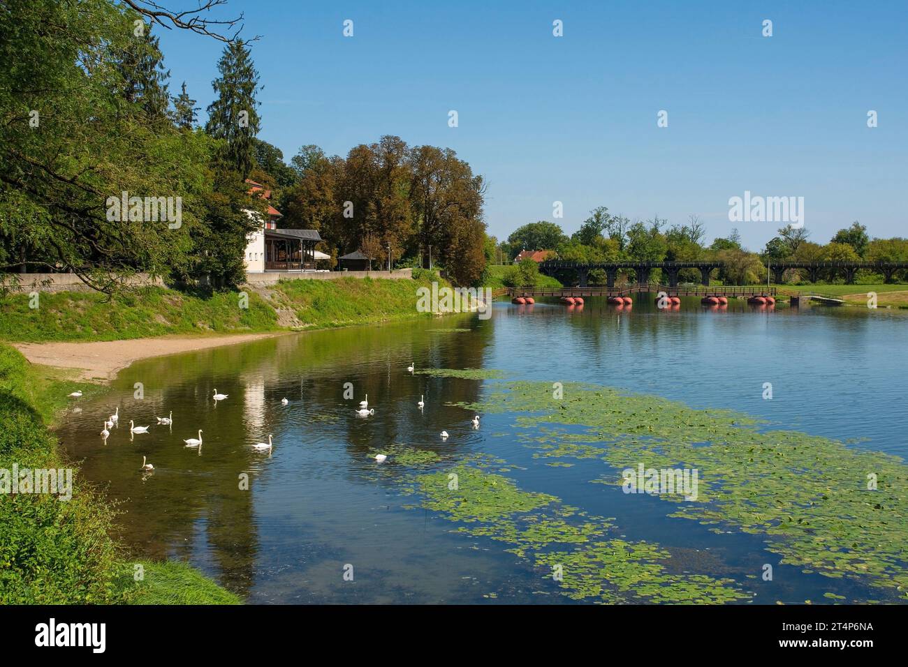 Pjesacki Pontonski Most bridge, at the front, and Drveni Most bridge ...