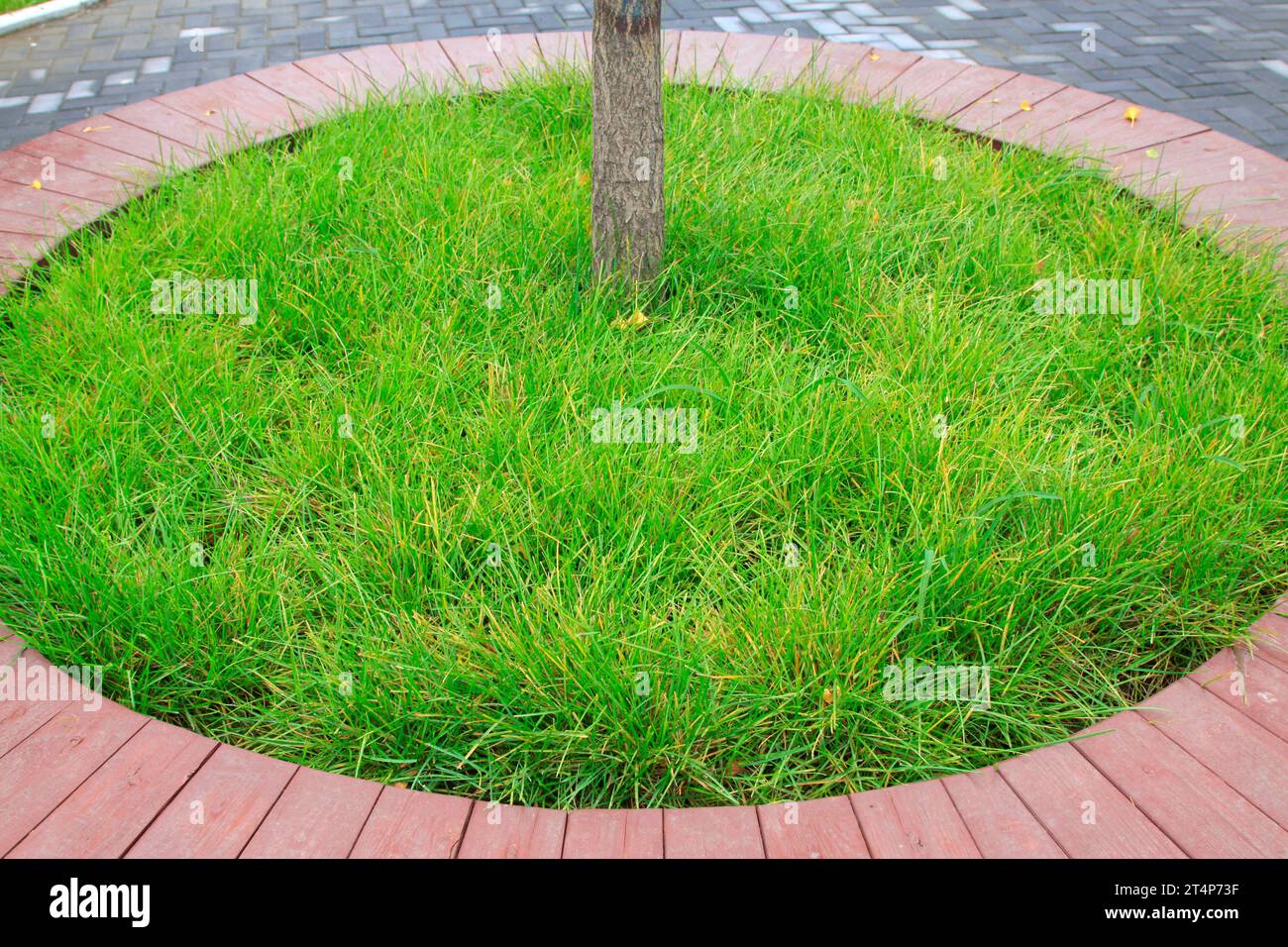 A circular building hi-res stock photography and images - Alamy