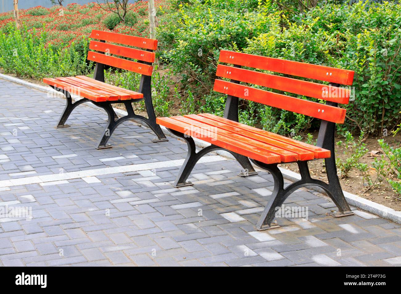 Wooden chairs in the park Stock Photo - Alamy