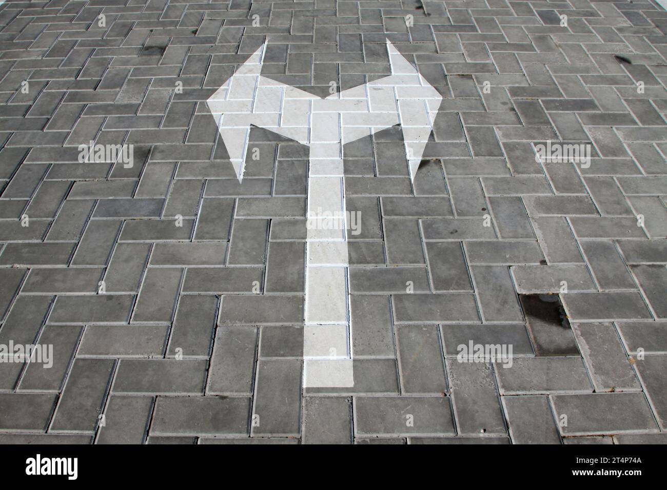 Point to tag, traffic signs on the asphalt road Stock Photo - Alamy