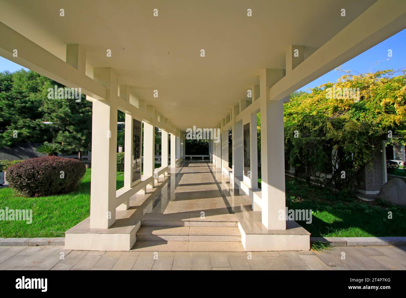 Corridor landscape architecture in a park Stock Photo - Alamy