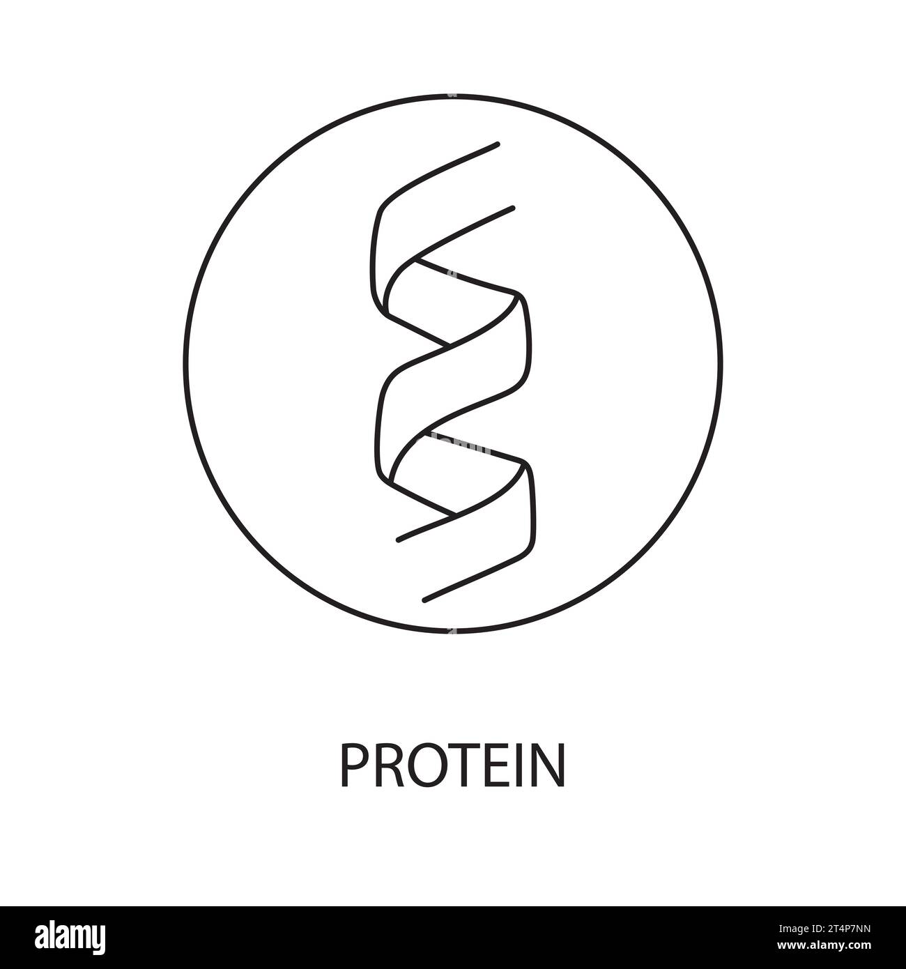 Protein line icon vector for food packaging, protein molecule ...