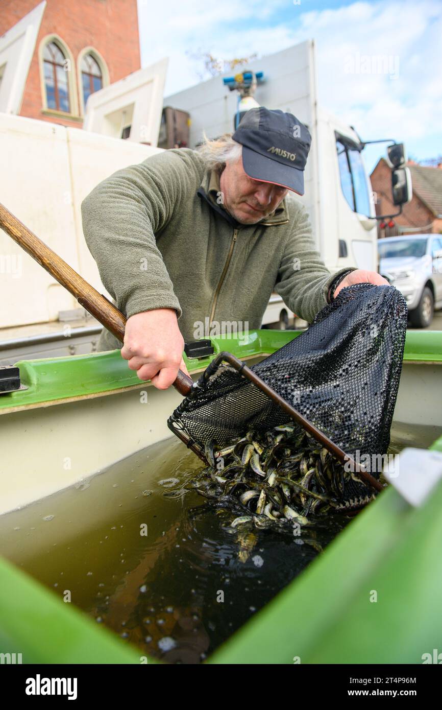 Fish catchment area hi-res stock photography and images - Alamy