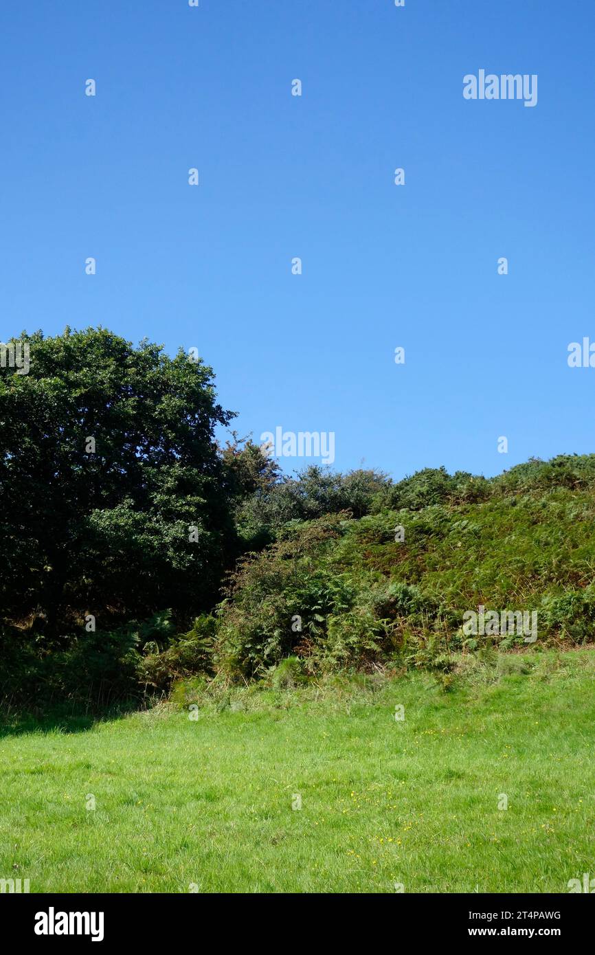 Myretleberry iron age hill fort hi-res stock photography and images - Alamy