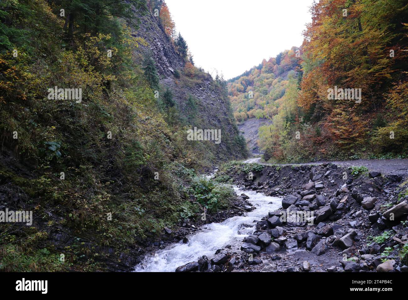 A bright blue river flowing through forest in a hidden park along the scenic drive in Hoverla ...
