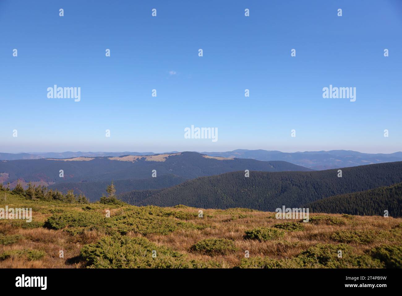 Landscape with Mount Hoverla hanging peak of the Ukrainian Carpathians ...