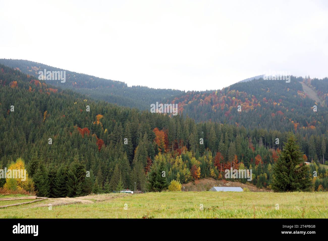 Autumn rural landscape with mountains peaks on background of white sky ...