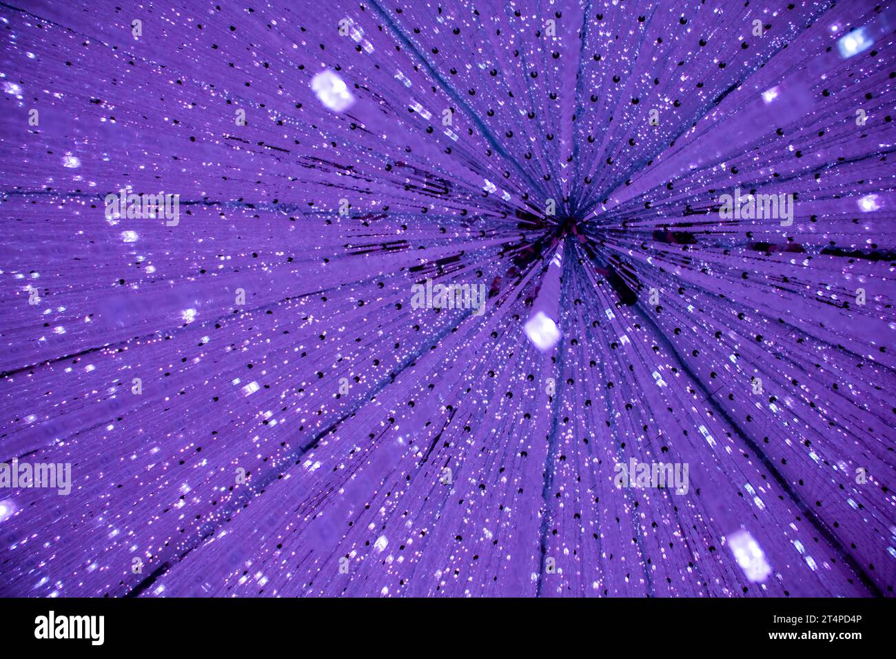 Light Show in digital art museum in Tokyo Stock Photo - Alamy