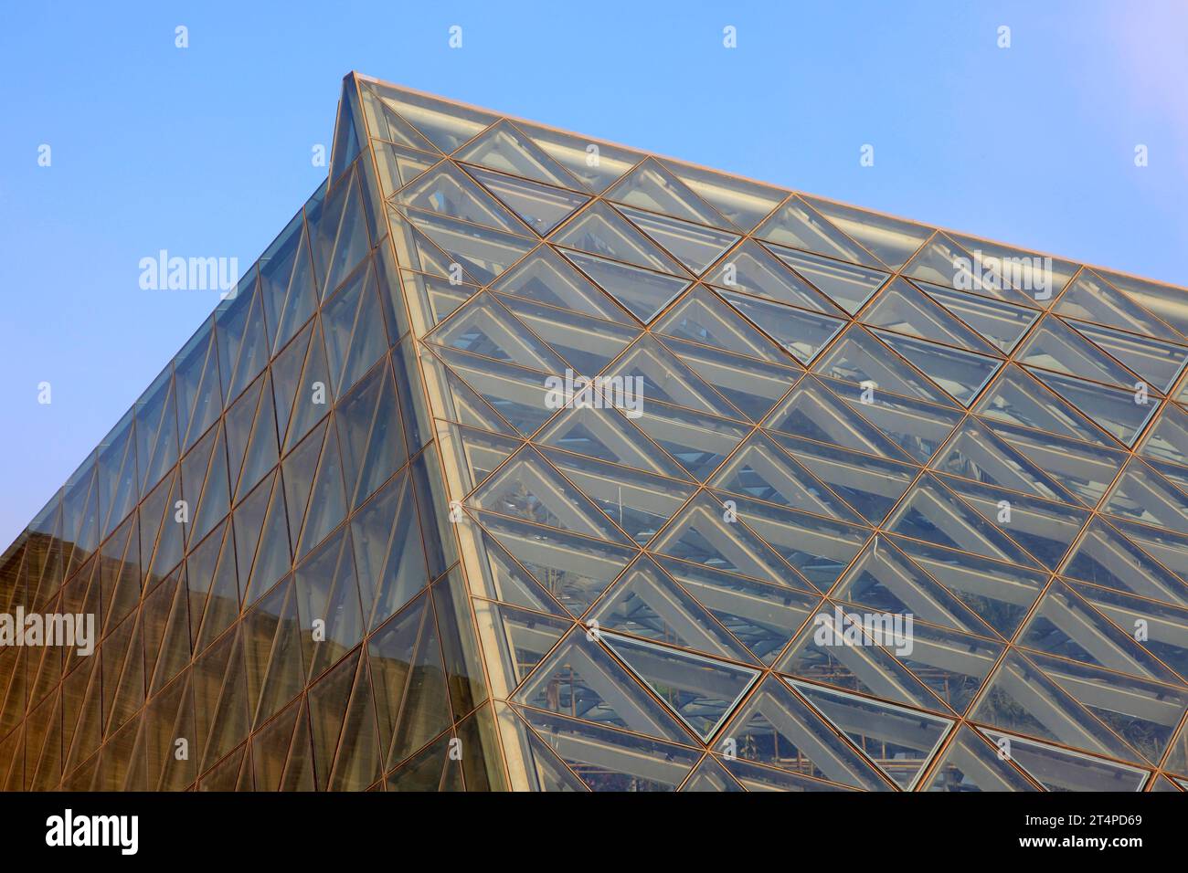Glass plate process hi-res stock photography and images - Alamy