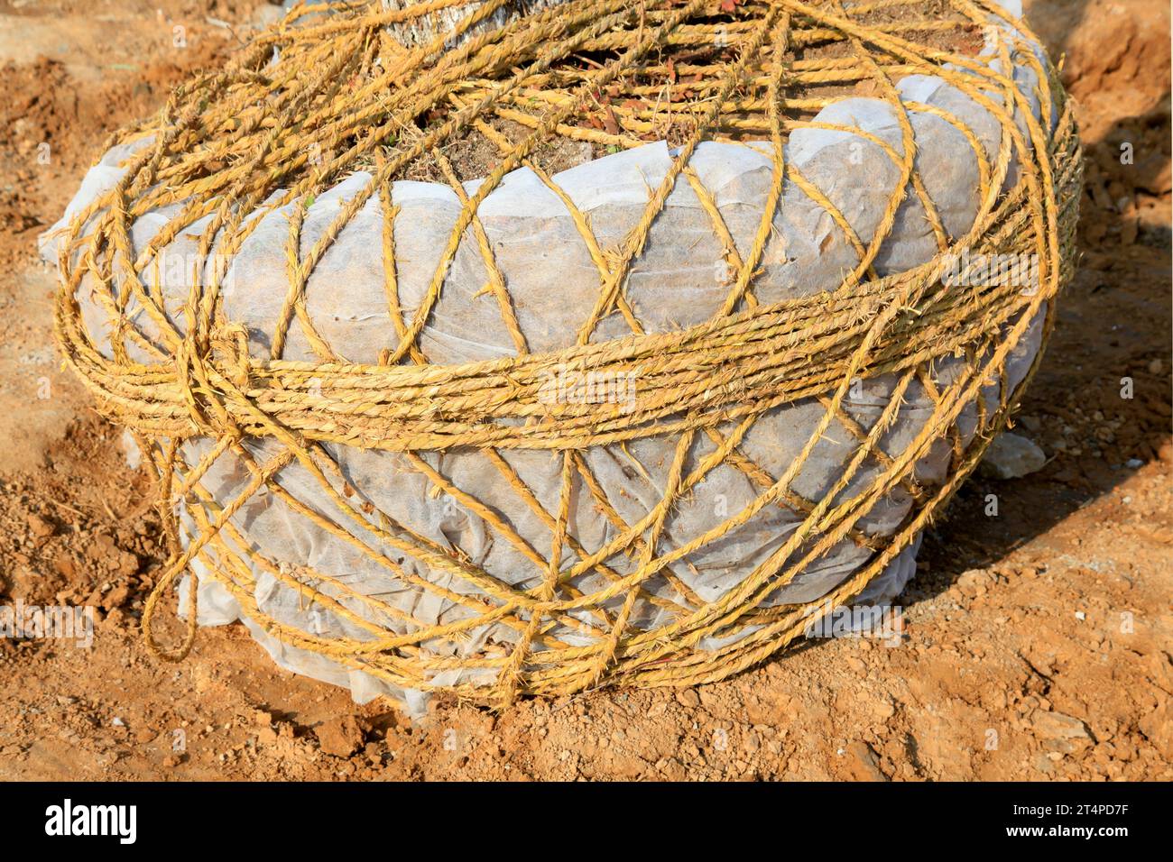 rope wrapped around the plastic Stock Photo - Alamy