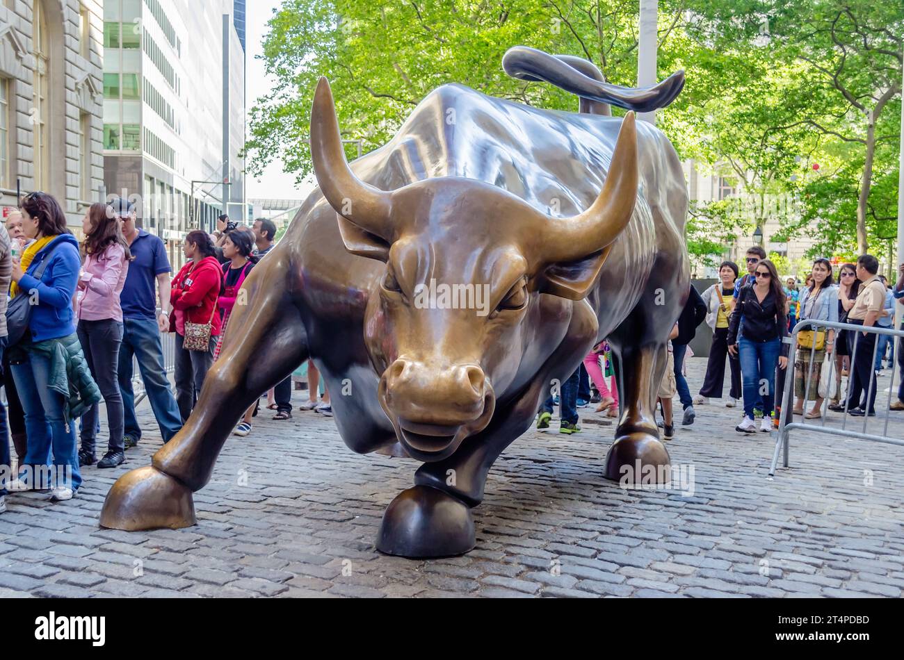 NEW YORK CITY - MAY 27: The landmark Charging Bull in Downtown Manhattan, May 27, 2013. The ...
