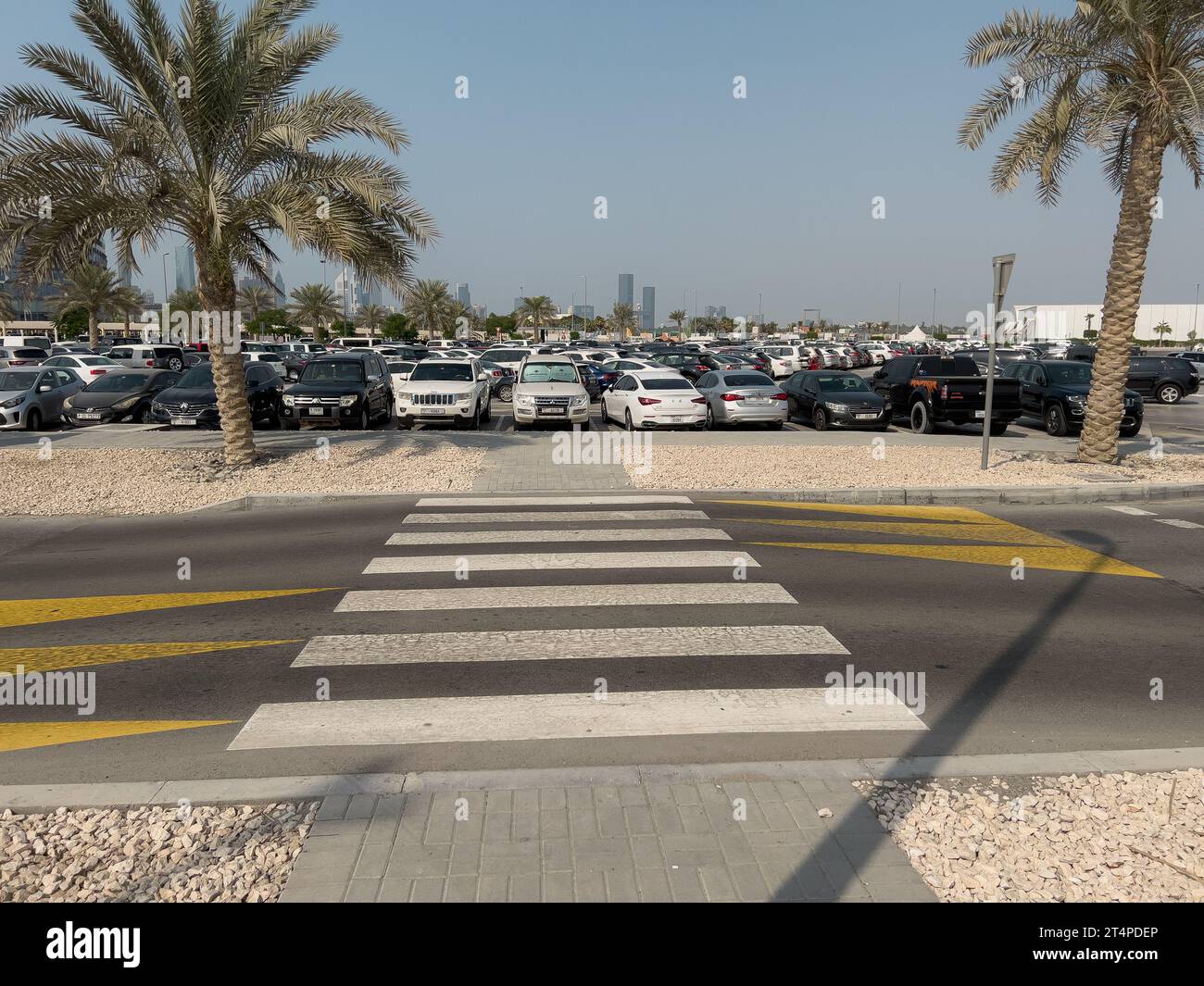 White striped lines painted on the asphalt indicating pedestrian ...