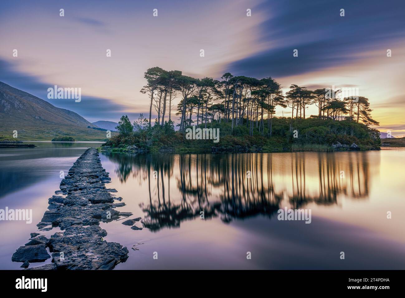 Pines island of derryclare lake hi-res stock photography and images - Alamy
