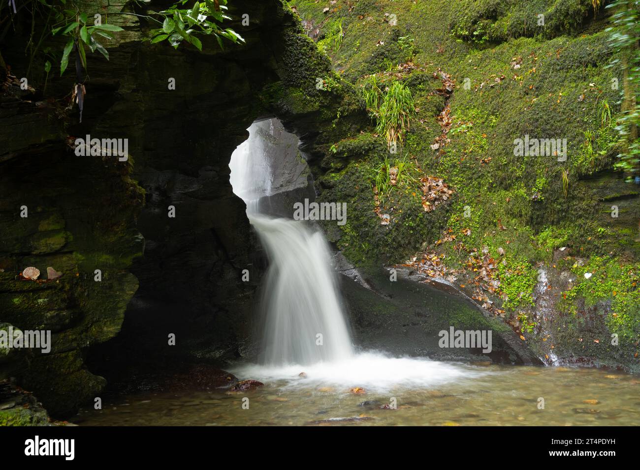 Waterfall: St. Nectan's Glen, Tintagel, Cornwall, UK Stock Photo - Alamy