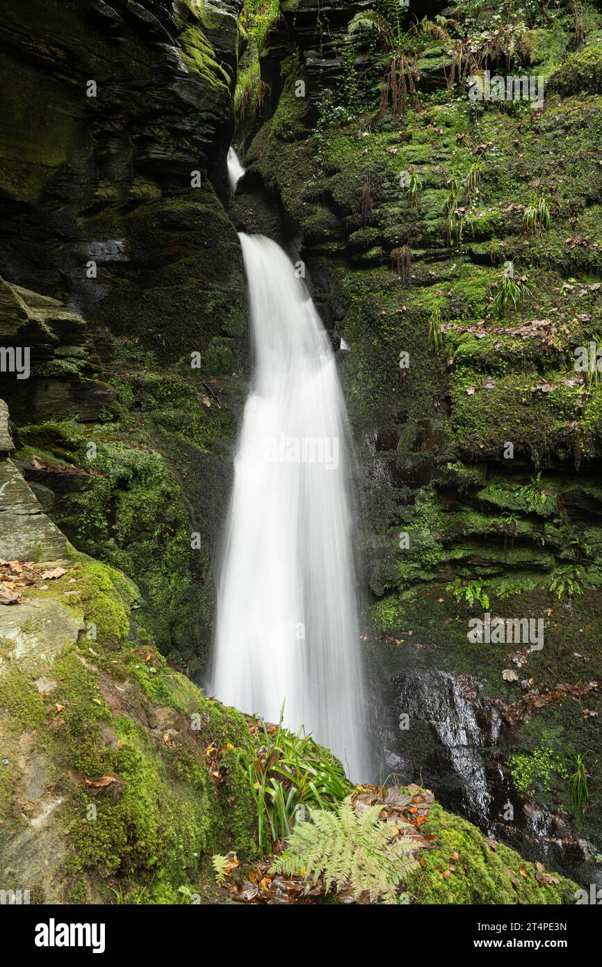 Waterfall: St. Nectan's Glen, Tintagel, Cornwall, UK Stock Photo - Alamy