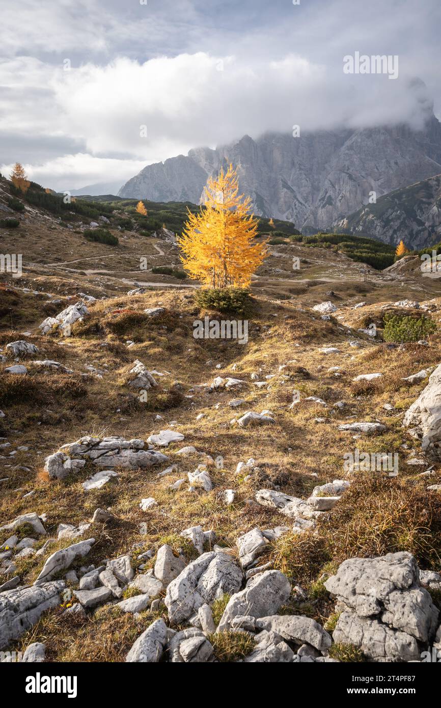 Vertical shot beautiful alpine hi-res stock photography and images - Alamy