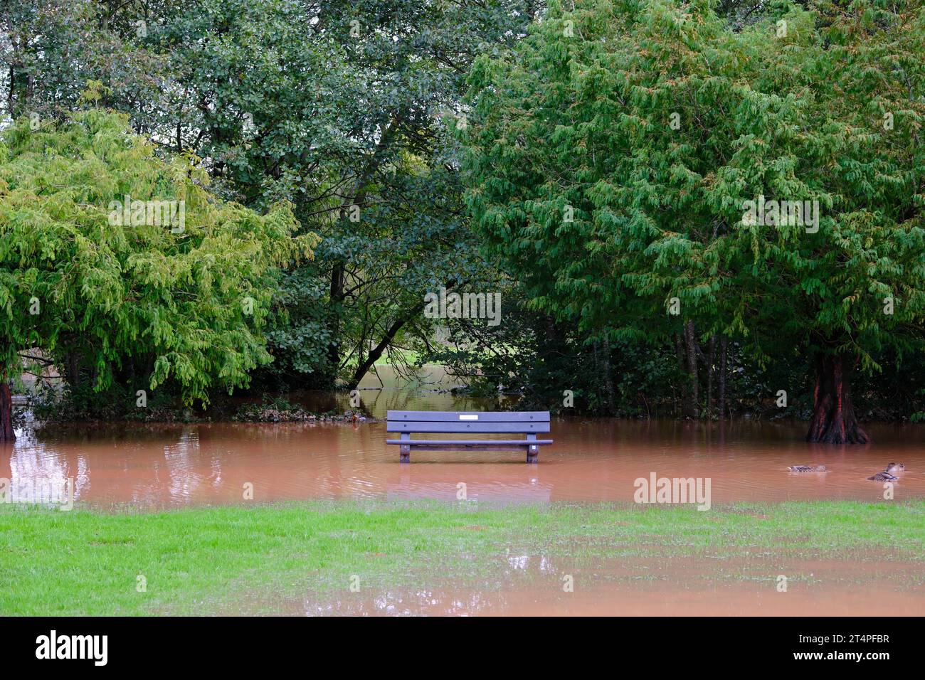 Tenbury flood hi-res stock photography and images - Alamy