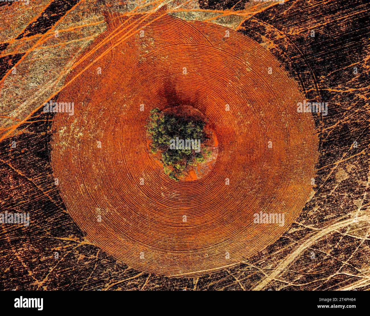 an aerial, top-down view of a burnt and ploughed field with a single ...