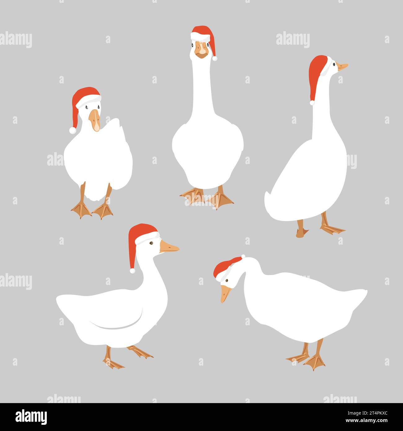 Christmas geese Stock Vector Images - Alamy