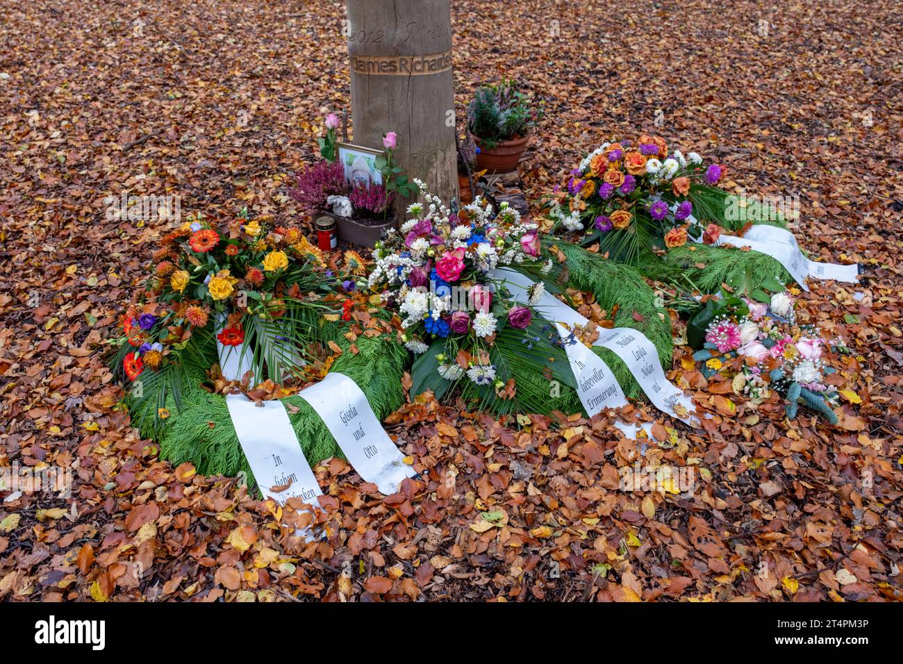 Seelwald, Urnenbestattung an Bäumen, Stadtfriedhof Seelhorst Hannover ...