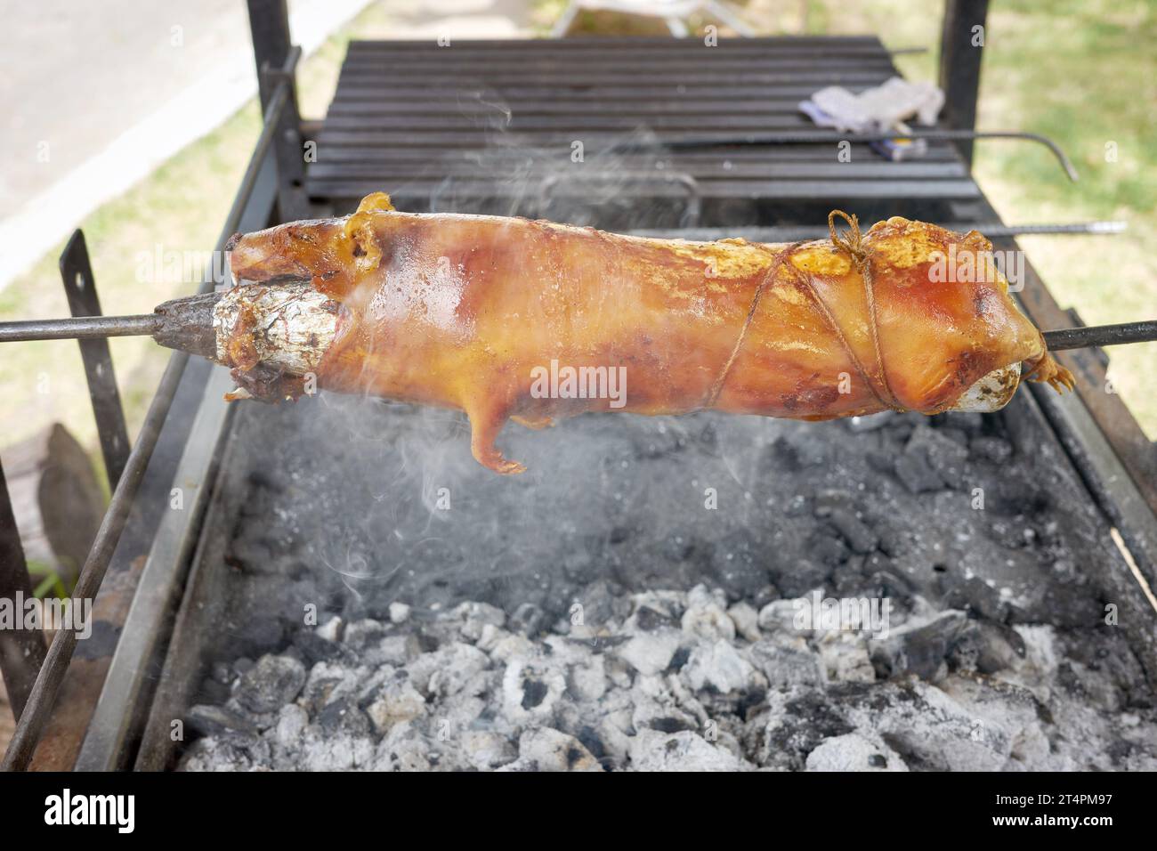 Close up photo of a roasted guinea pig on a grill, selective focus ...