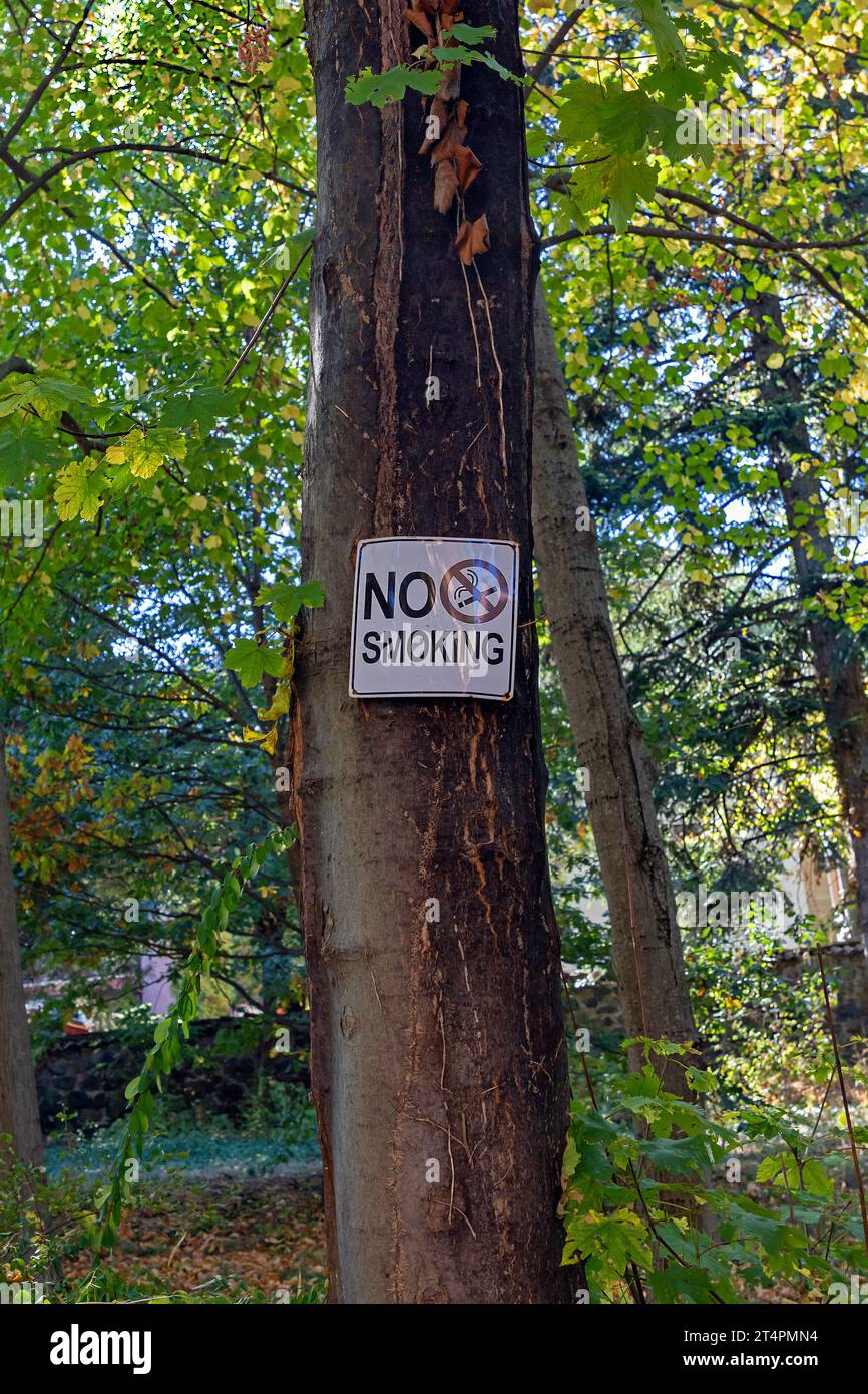 No smoking sign attached to a tree in forest Stock Photo - Alamy