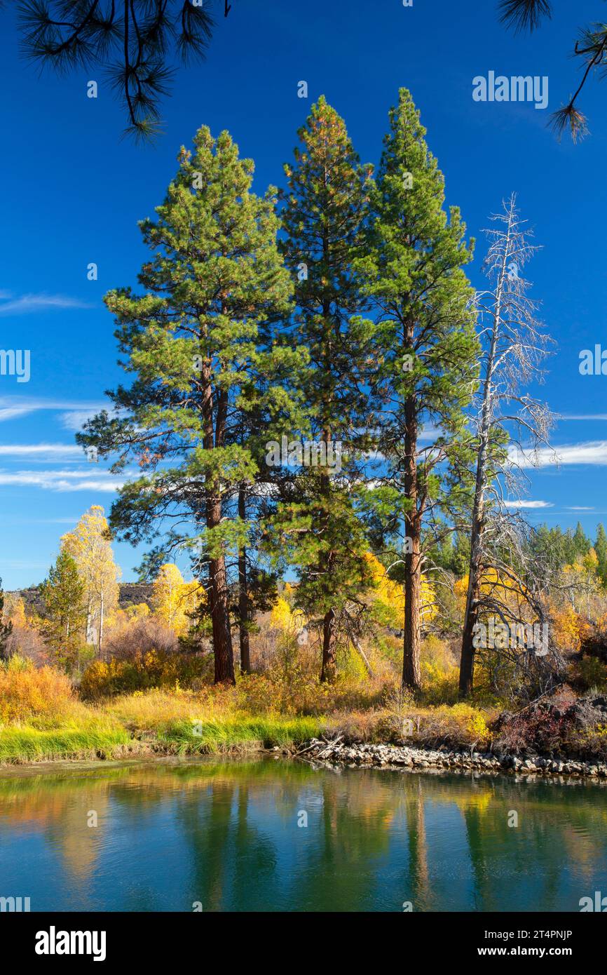 Deschutes Wild and Scenic River in fall foliage along Deschutes River ...