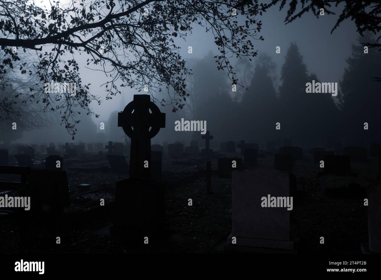 Spooky gravestones in a churchyard on a foggy winters mysterious night ...