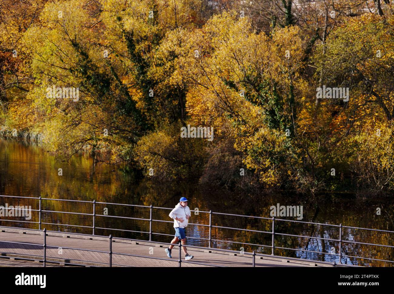 Autumn colors at the Kastellet fort in Copenhagen, Denmark, Wednesday ...