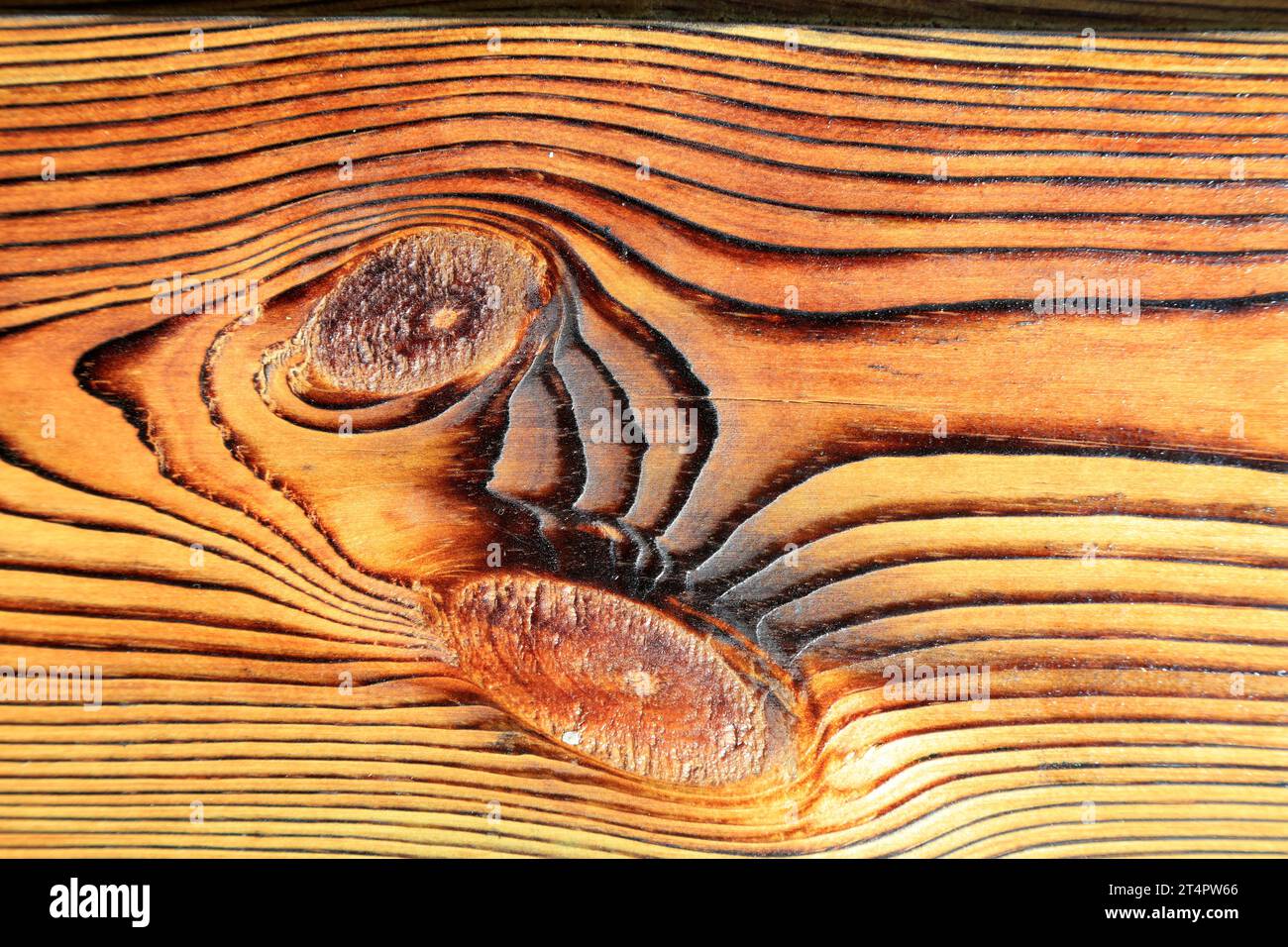 Woodiness grain, eye shape Stock Photo - Alamy