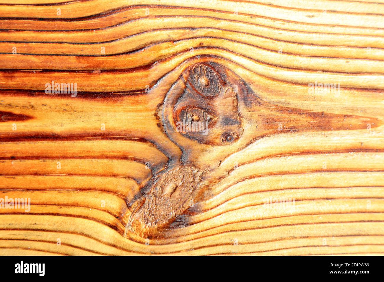 Woodiness grain, eye shape Stock Photo - Alamy