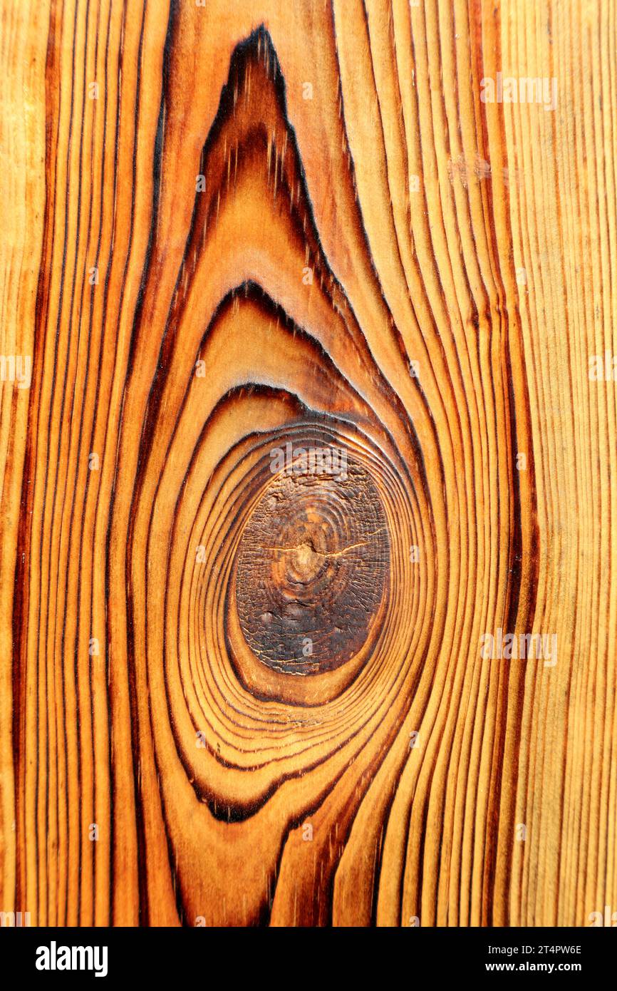 Woodiness grain, eye shape Stock Photo - Alamy