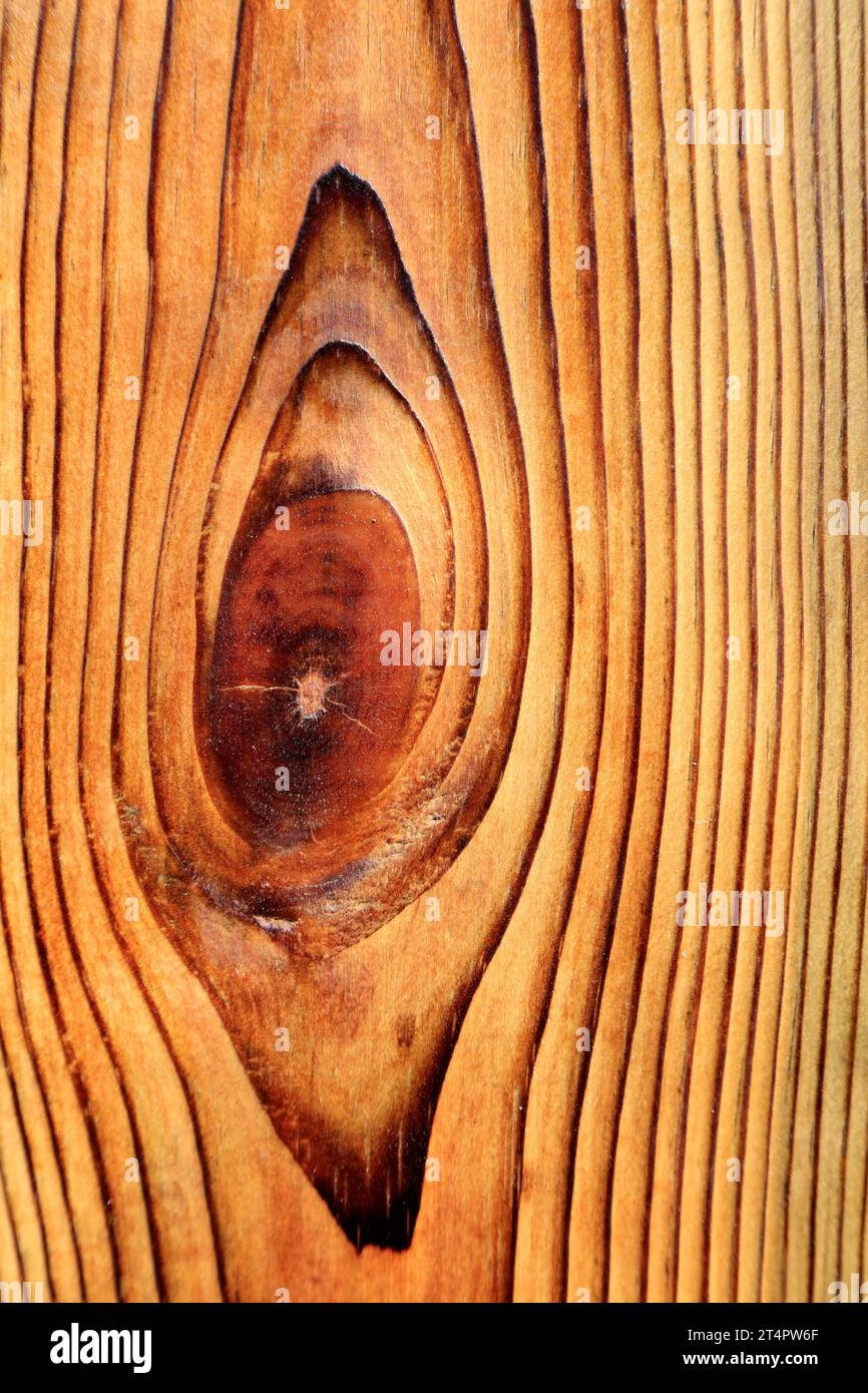 Woodiness grain, eye shape Stock Photo - Alamy