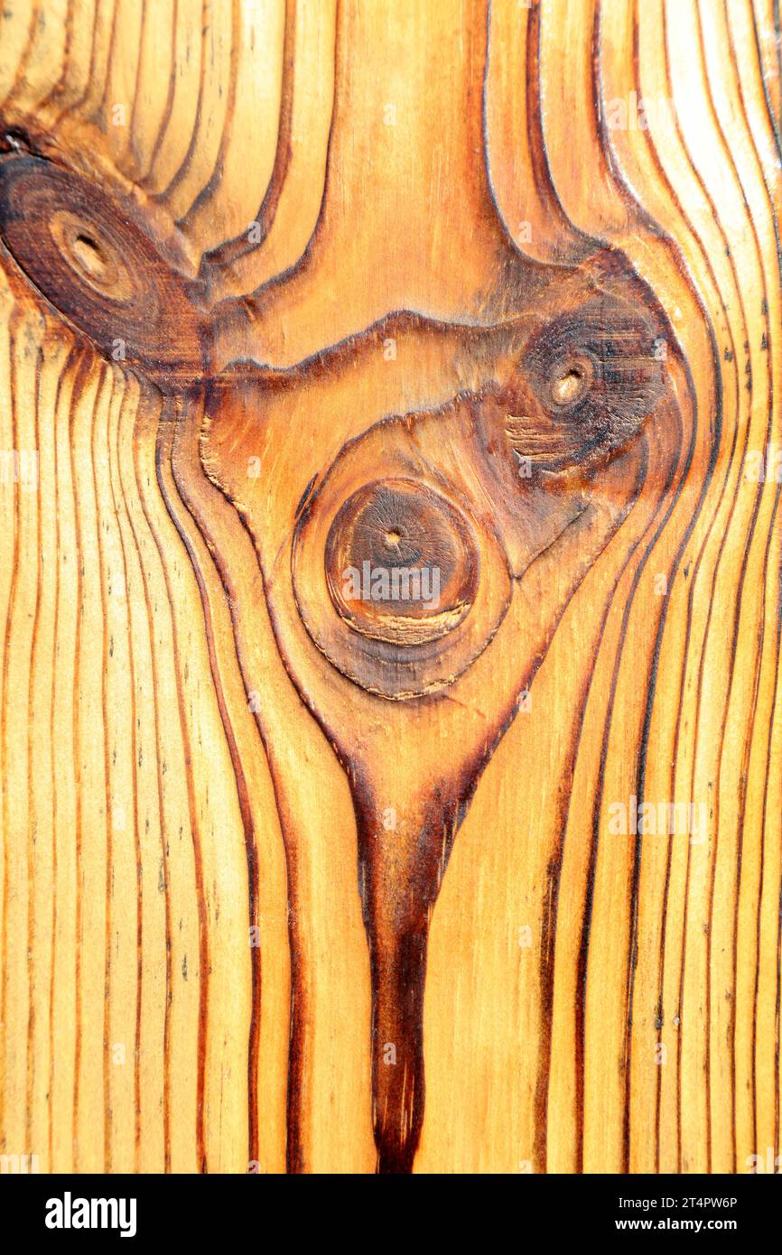 Woodiness grain, eye shape Stock Photo - Alamy
