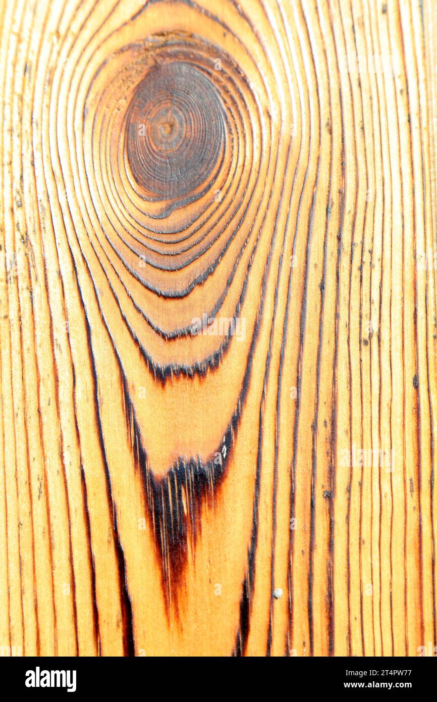 Woodiness grain, eye shape Stock Photo - Alamy