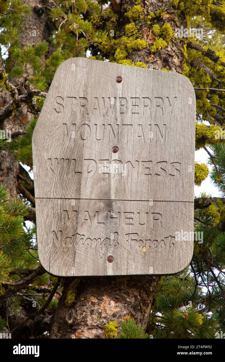 Wilderness sign at High Lake Rim Trailhead, Strawberry Mountain ...