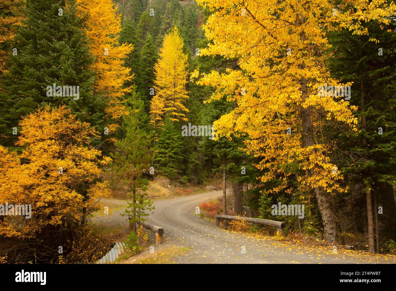 Strawberry Basin Trailhead, Malheur National Forest, Oregon Stock Photo ...