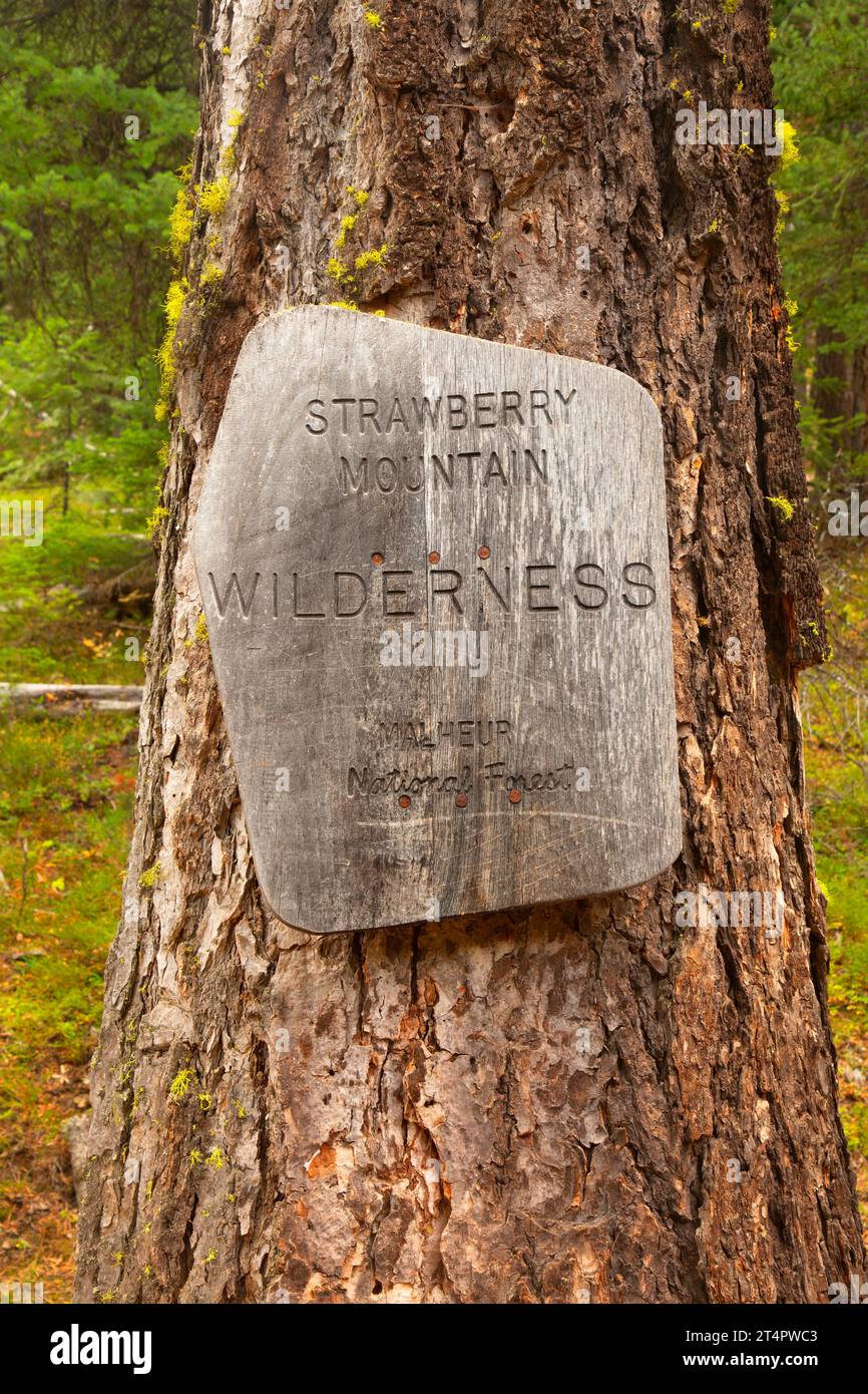 Wilderness sign at Strawberry Basin Trail, Strawberry Mountain ...