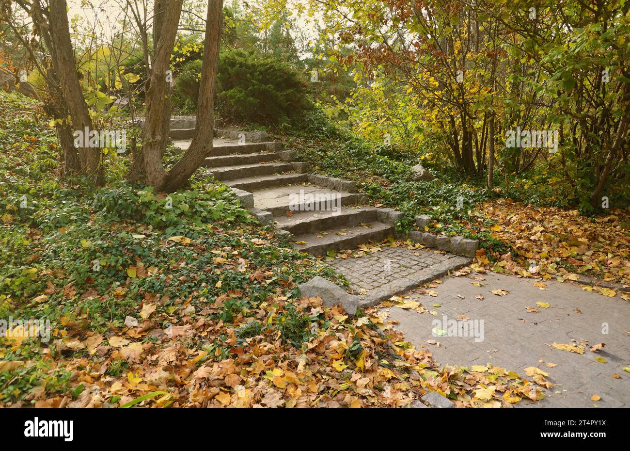 Beautiful Nature Autumn landscape. Scenery view on autumn city park ...