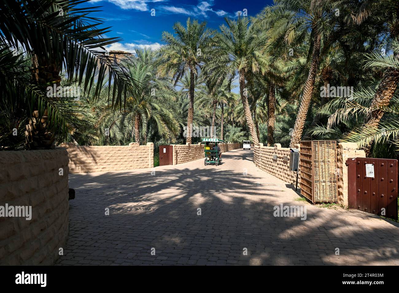Walk way in the Middle of Al ain Oasis Dates Farm Stock Photo - Alamy