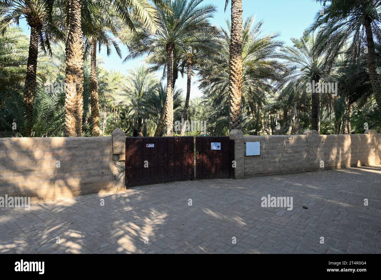 Walk way in the Middle of Al ain Oasis Dates Farm Stock Photo - Alamy