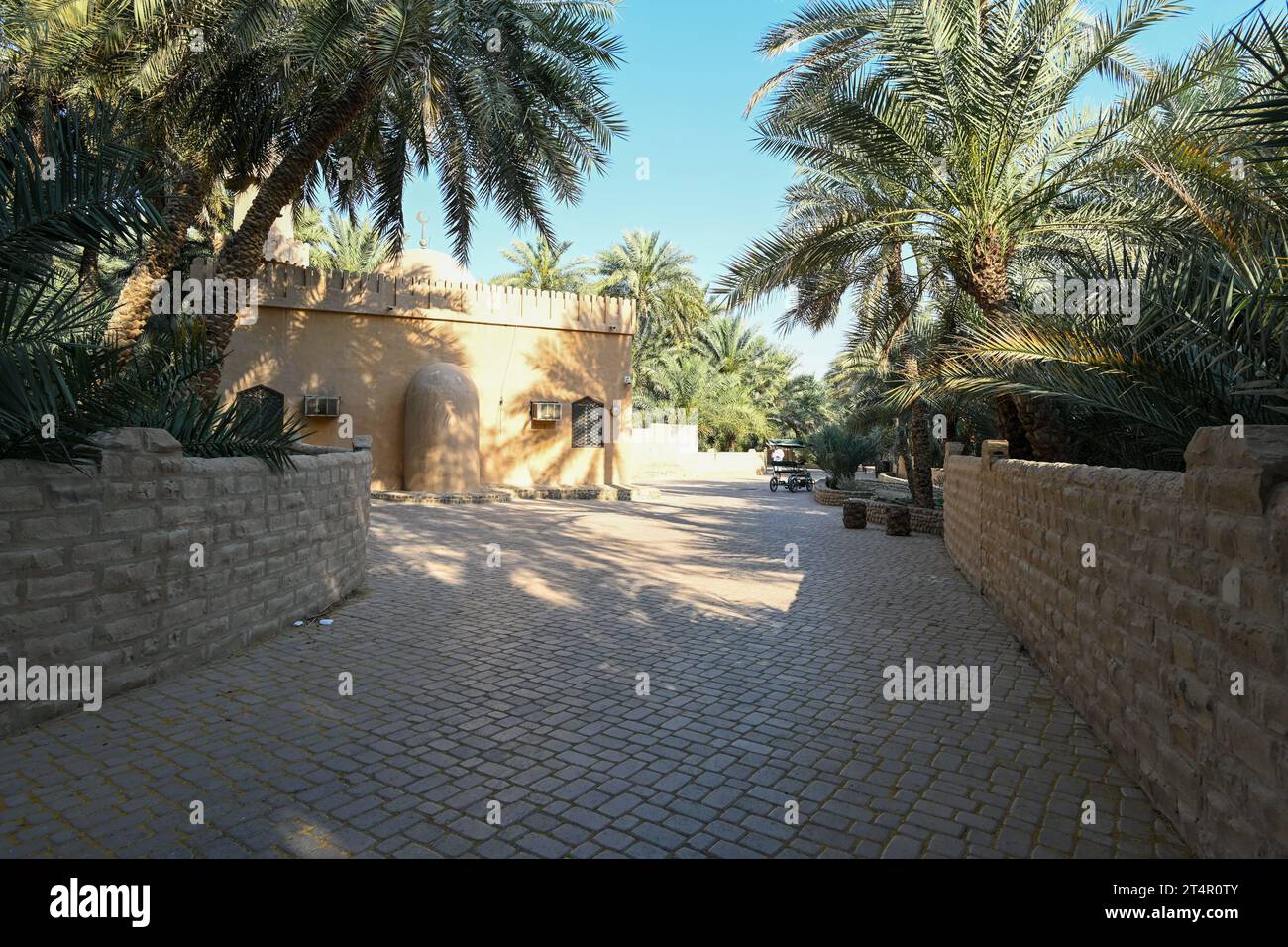 Saudi arabia date palm farm hi-res stock photography and images - Alamy