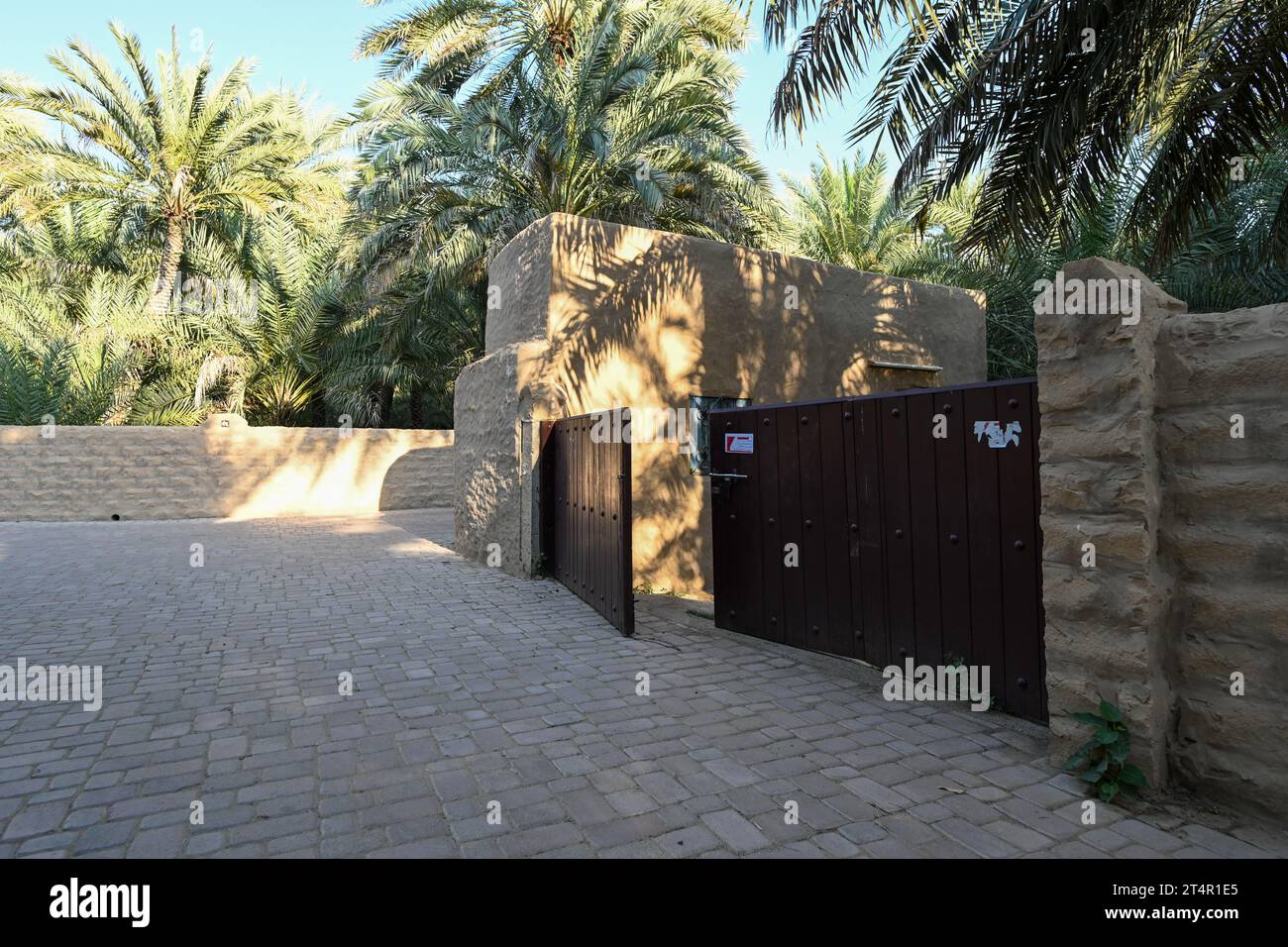 Walk way in the Middle of Al ain Oasis Dates Farm Stock Photo - Alamy