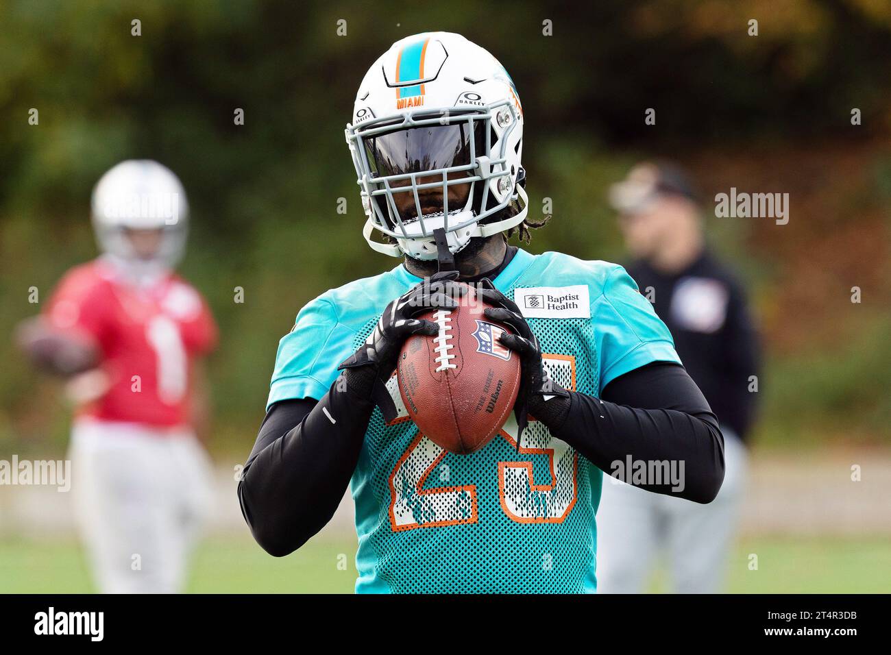 Xavien howard dolphins hi-res stock photography and images - Alamy