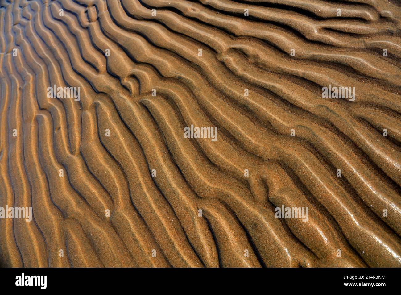 seaside beach texture, closeup of photo Stock Photo - Alamy
